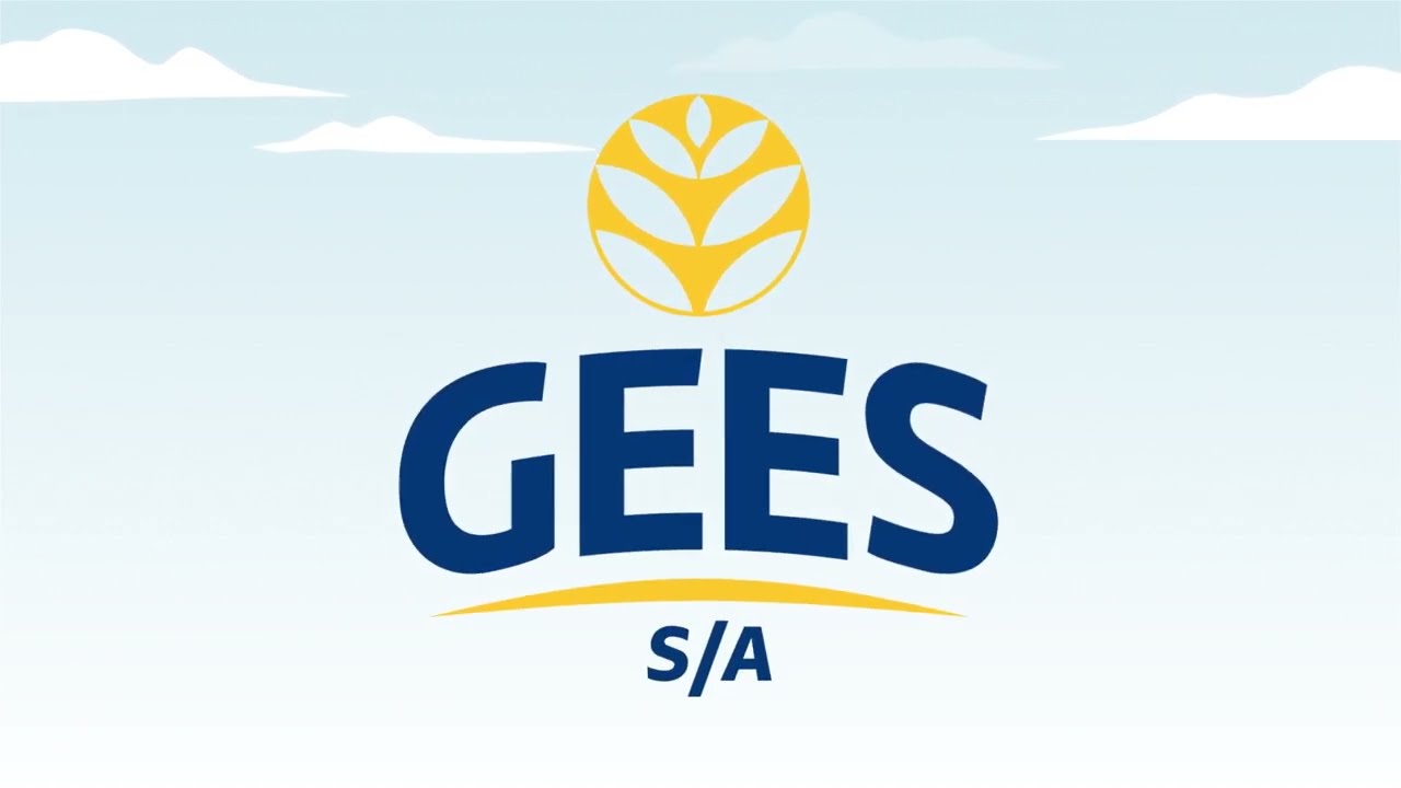 A RISA AGORA É GEES S/A E ESTÁ COM VAGAS ABERTAS EM SÃO LUÍS E REGIÃO ...